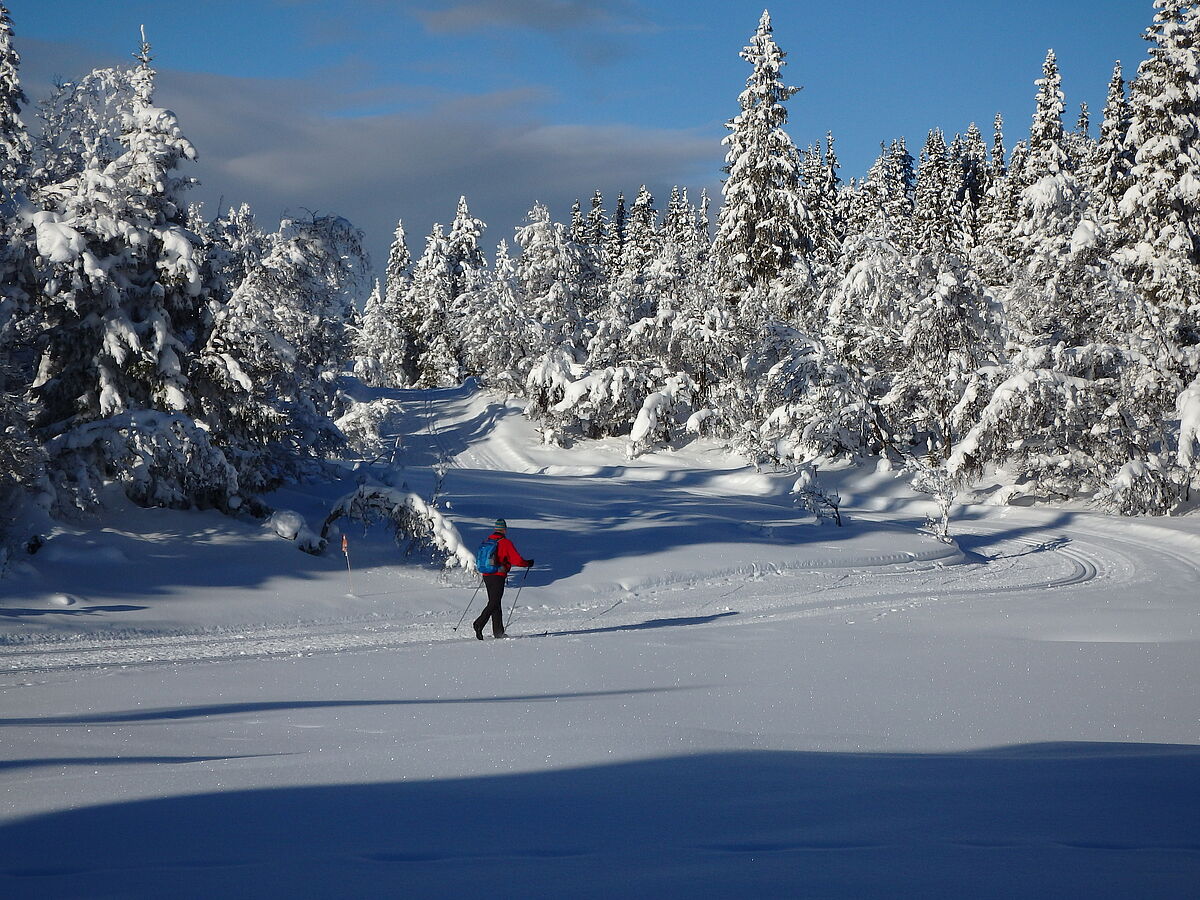 Norwegen - Winterferien in Nordseter / Lillehammer - RAWAKAS